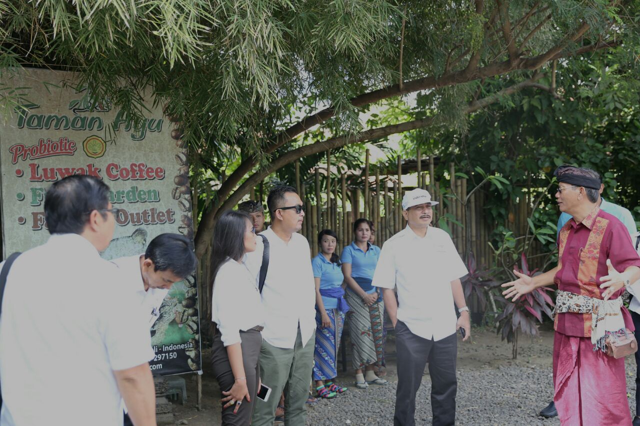 Ke Taman Ayu, Menpar Arief Yahya Cicipi Kopi Luwak - Aktual - Cerdas - Terpercaya!