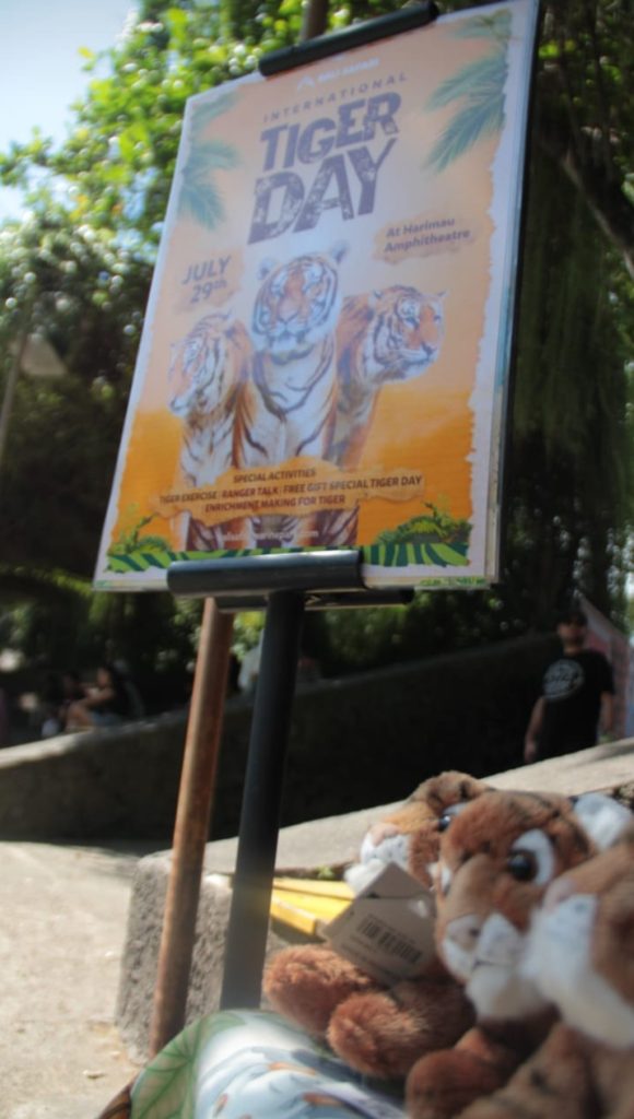 Tiger Conservation: Celebrating International Tiger Day at Bali Safari ...